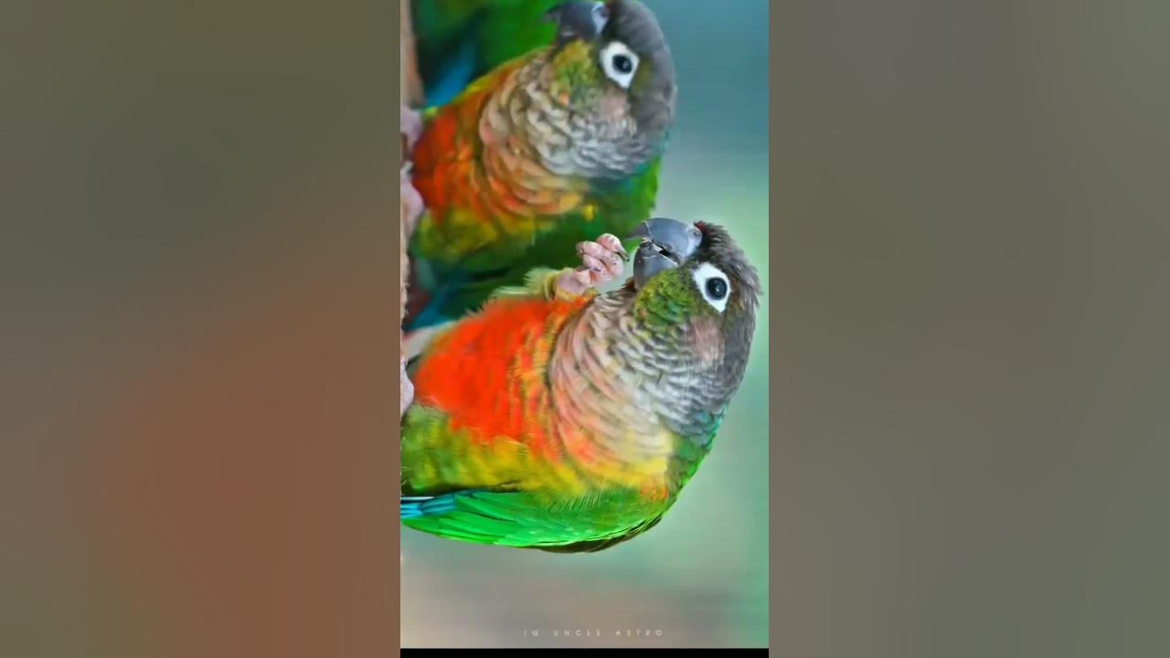 Earth The Best Planet To Live YouTube earth-the-best-planet-to-live-youtube