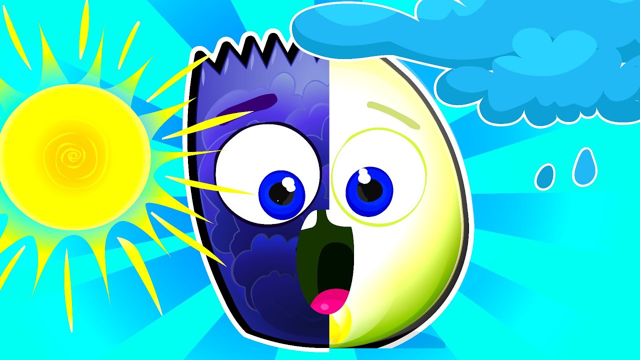 Fun Story | Op and Bob - Learning with Op and Bob - Op and Bob CARTOONS - YouTube