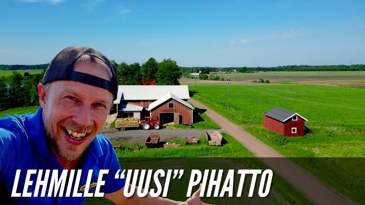 Lehmille "uusi" pihatto edullisesti - YouTube