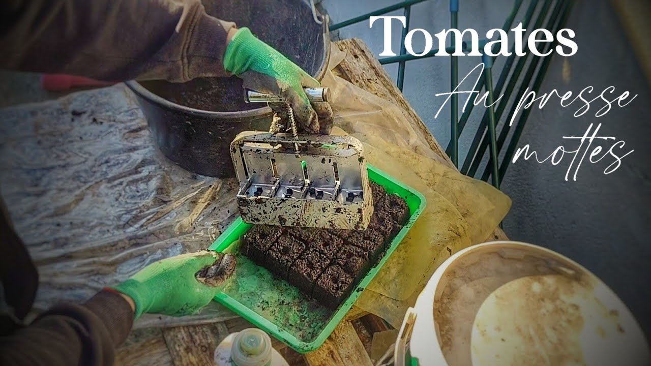 Semis des TOMATES au PRESSE MOTTES. Explications détaillées sur le ...
