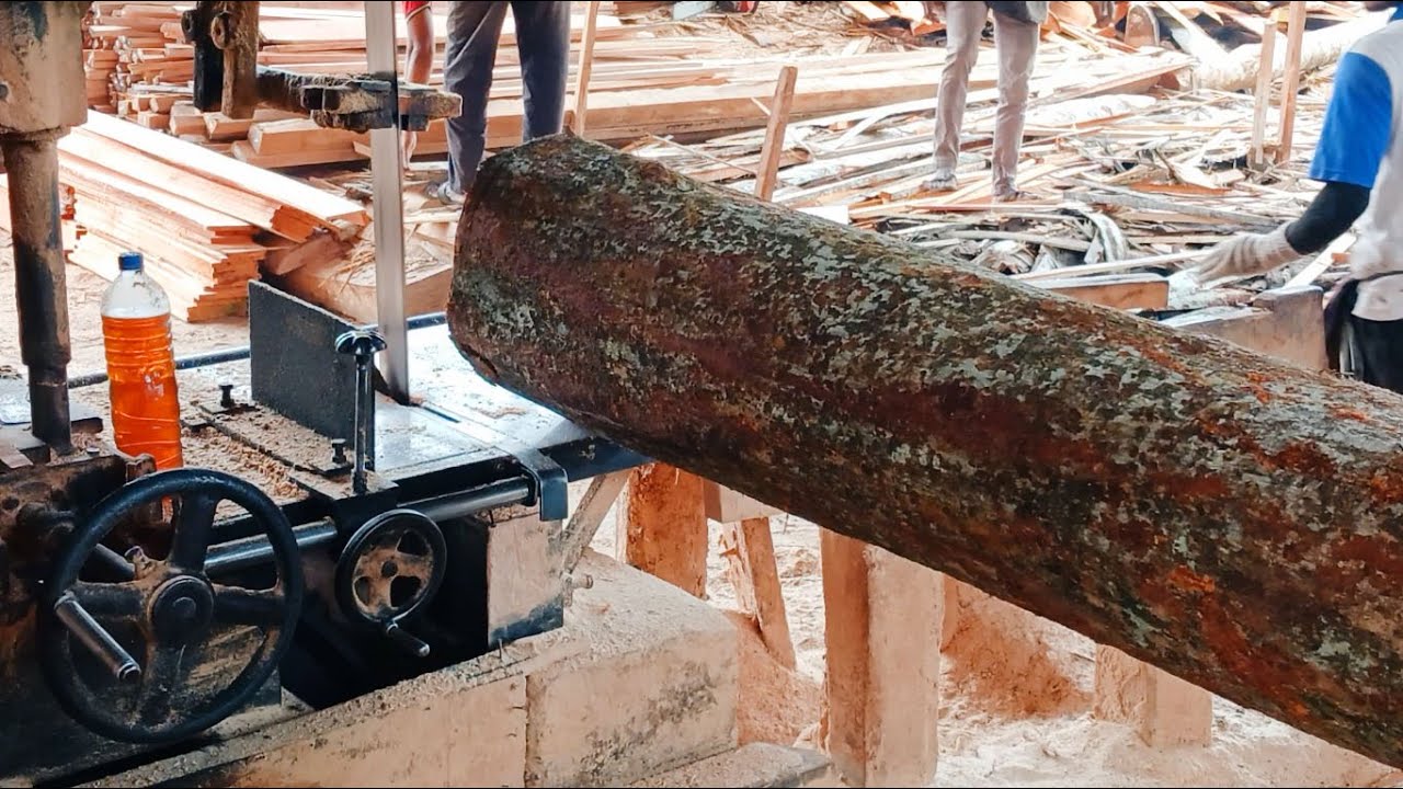 Mastering Sawmill Operations: Scaling Up for Timber Processing Success ...