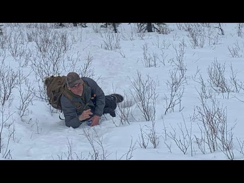 Frozen Toad loop round 2 - YouTube