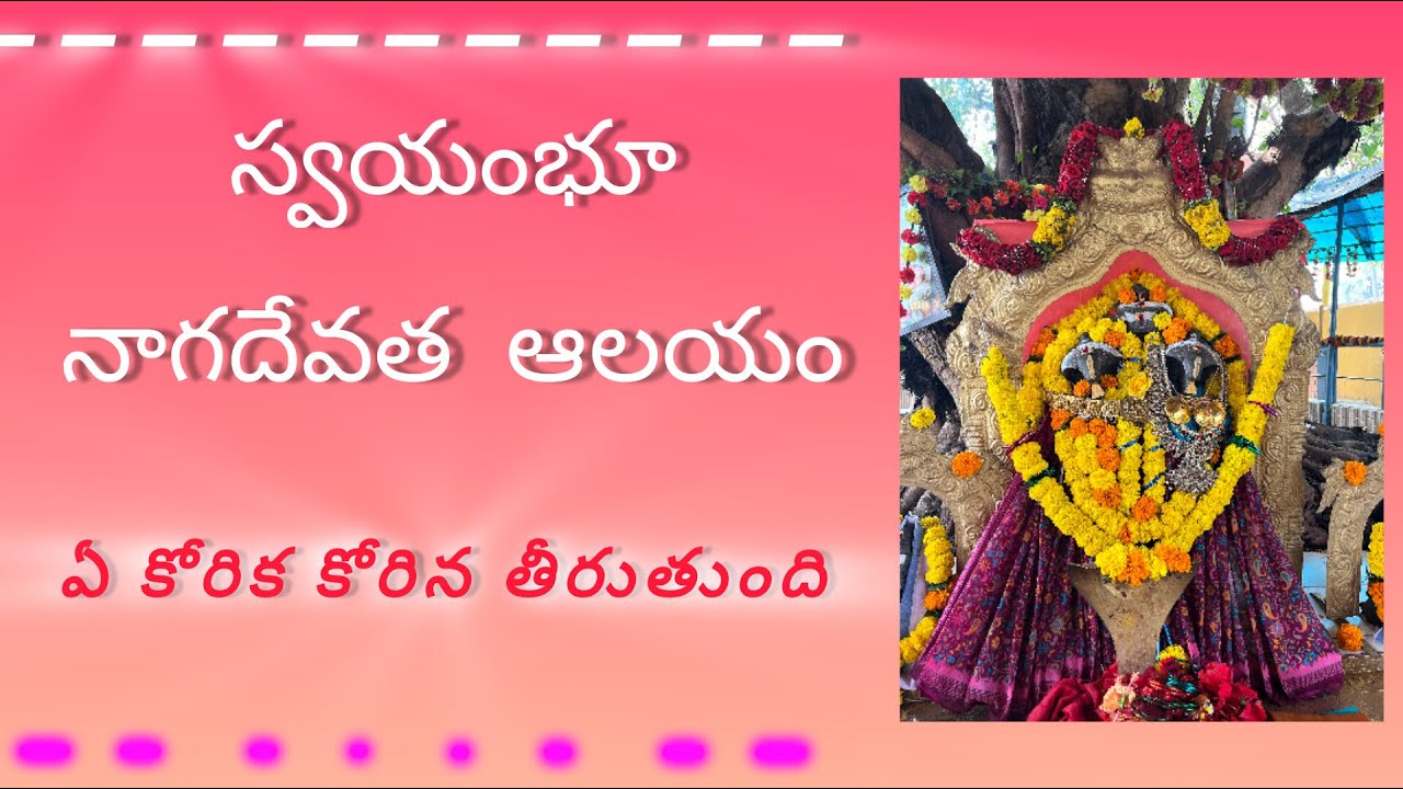 Sri Sri Sri Nageshwara Nagadevi Temple||శ్రీ శ్రీ శ్రీ నాగేశ్వర నాగ ...