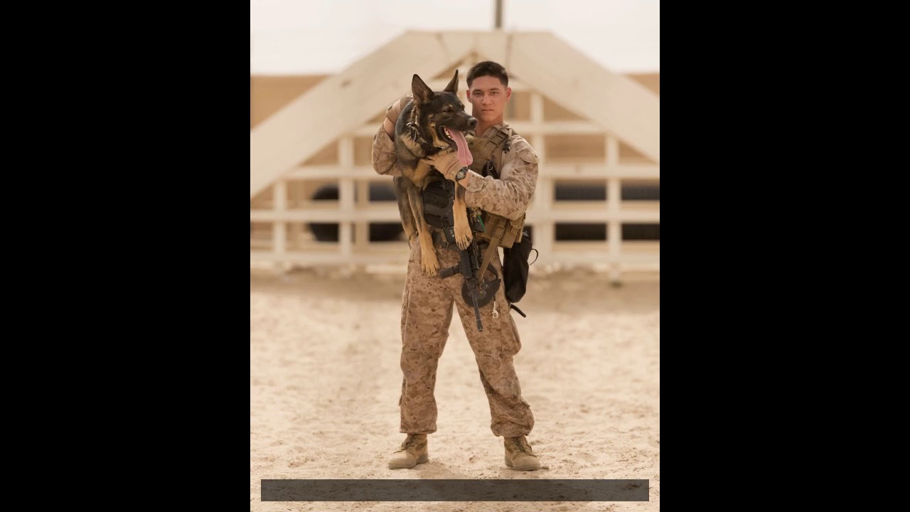 A US Marine photographer shot these beautiful portraits of troops ...