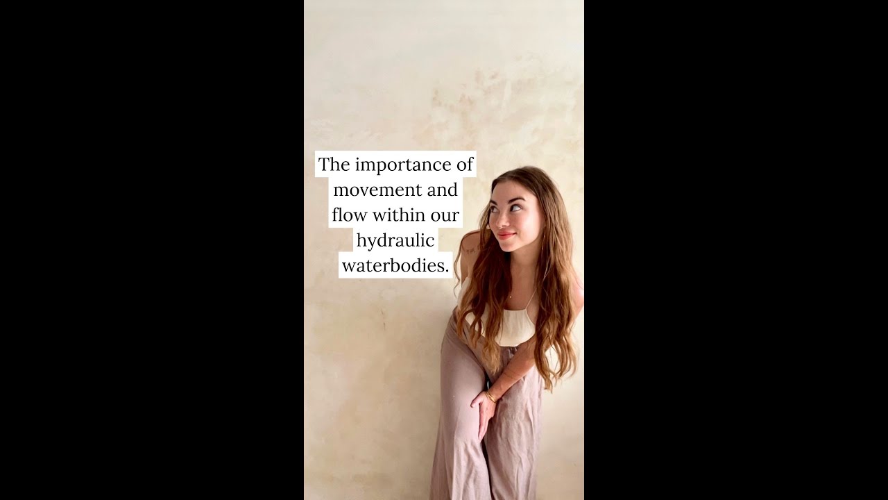 The importance of movement and water flow within our hydraulic ...