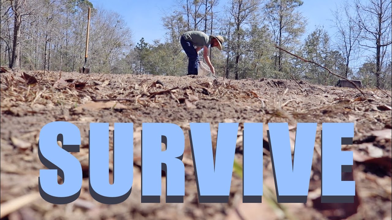 How to Plant Potatoes - The Best Survival Crop! - YouTube