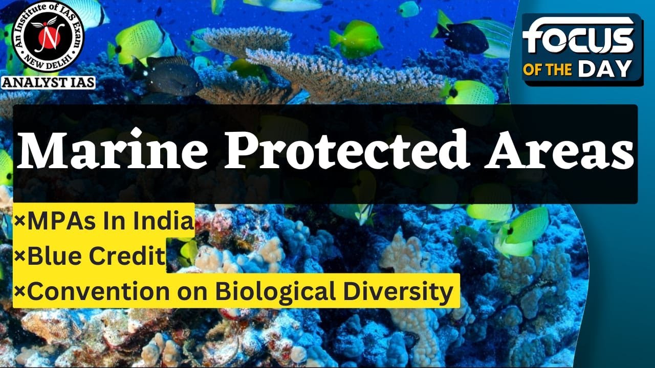 Marine Protected Areas | Focus of the Day | UPSC | ANALYST IAS - YouTube