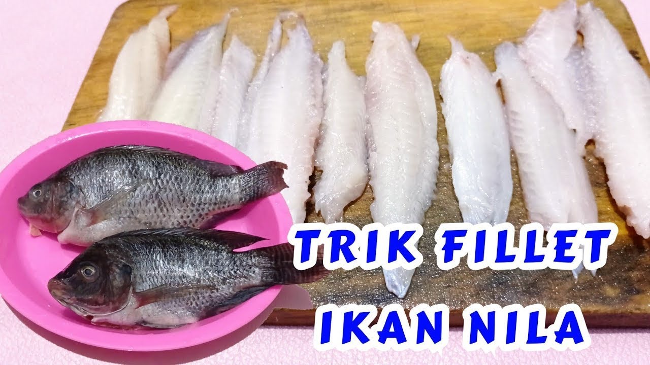 CARA MUDAH FILLET IKAN BISA DIAMBIL DAGINGNYA SAJA - SANGAT CEPAT - YouTube