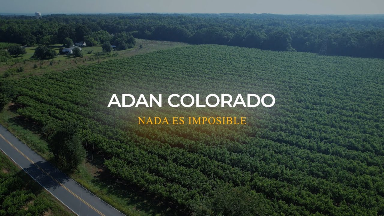 ADAN COLORADO - Nada Es Imposible - YouTube