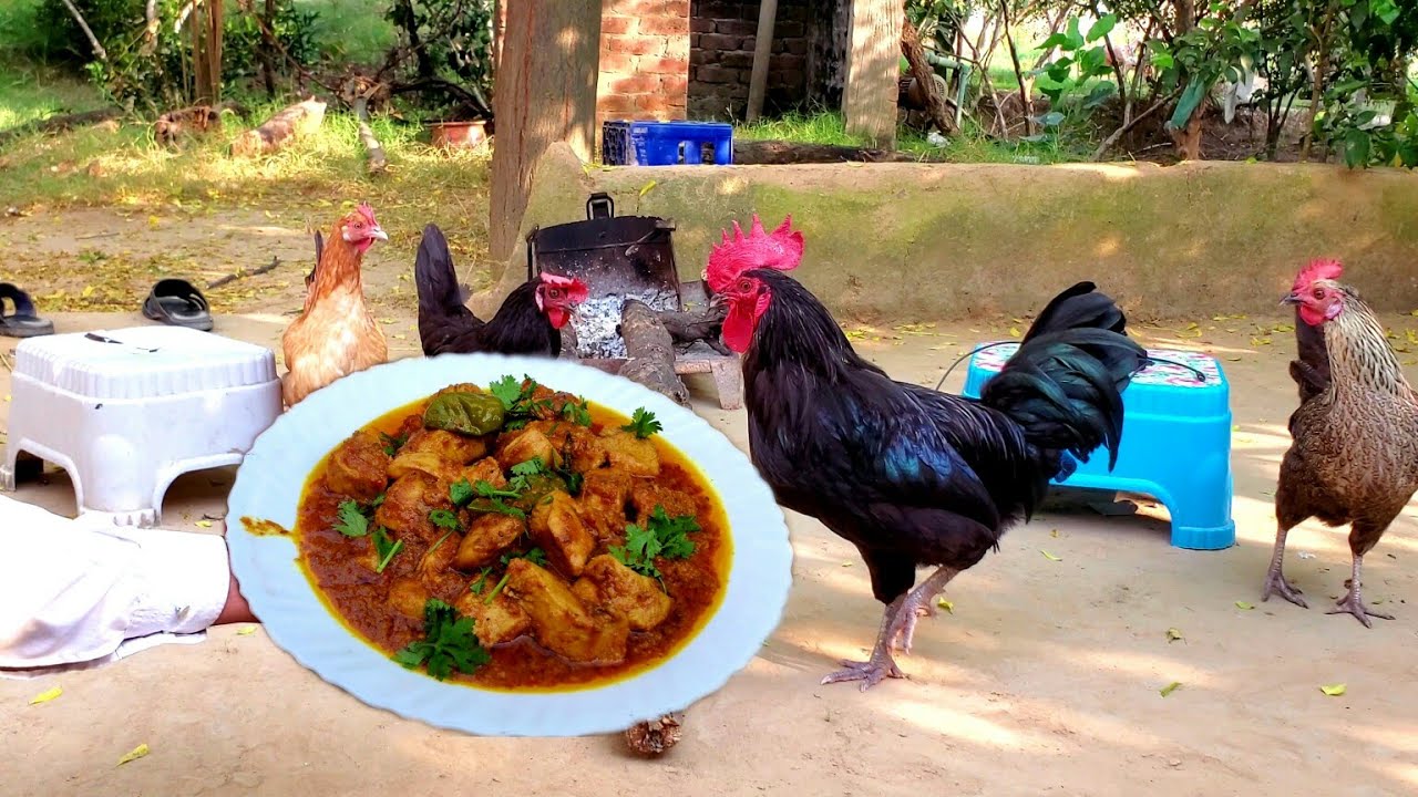 Mughlai Chicken | Rosters | Chicken Handi | Mubarak Ali Tour And Taste ...