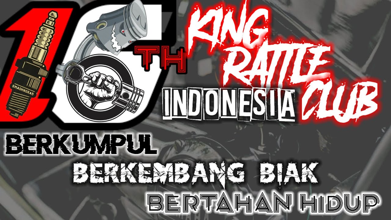 ANNIVERSARY KING RATTLE CLUB INDONESIA 16 TAHUN - CONGRATULATION ...