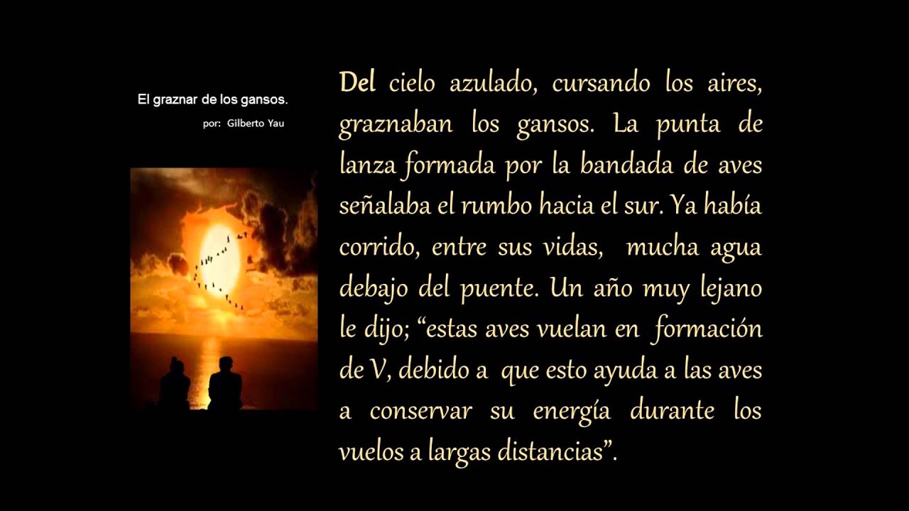 El graznar de los gansos - YouTube