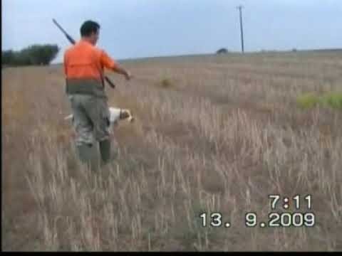 ΚΥΝΗΓΙ ΟΡΤΥΚΙ ΥΠΟΔΕΙΓΜΑ ΚΥΝΗΓΟΥ ΠΥΛΑΙΑ ΘΕΣ. - YouTube