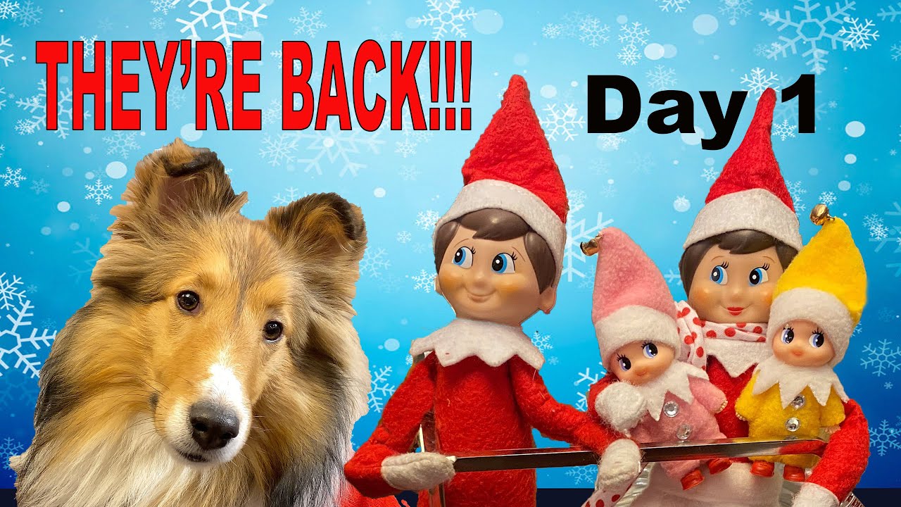 "The Elves is BACK?" 🎅🏼🎄🐶 The Elf on the Shelf Elves return! ⭐️ Shelf ...