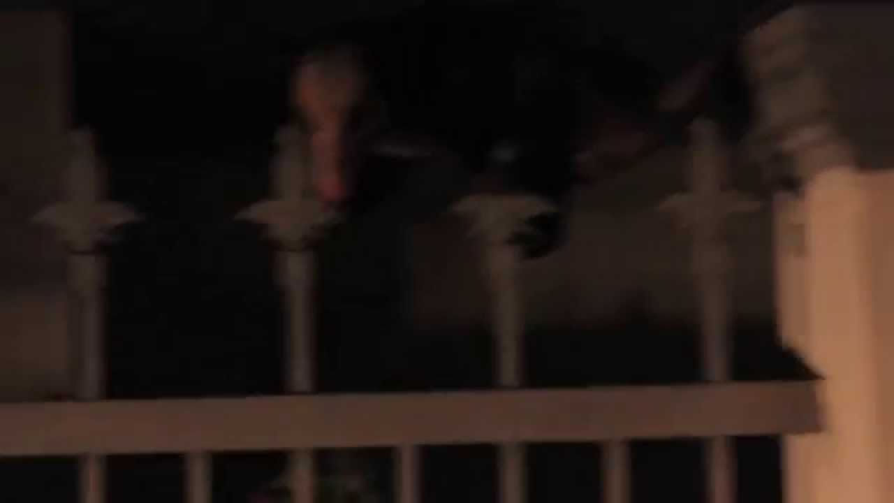 The Manicou - YouTube