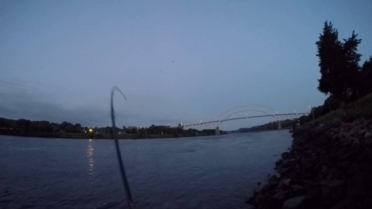 26 Pound Striper at Cape Cod Canal - YouTube