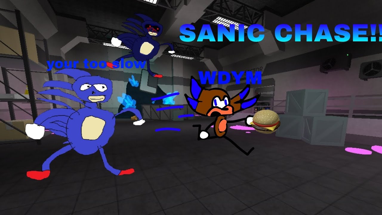 Sanic Chase!! Trying to trick sanic:[ - YouTube
