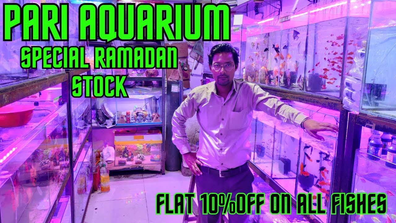 Pari Aquarium Fish Shop| Ramadan Special | All Aquarium Fish with ...