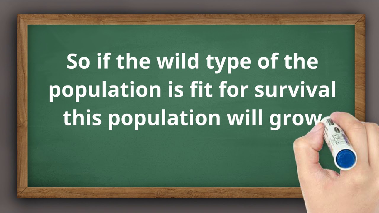 Wild type genetics - YouTube