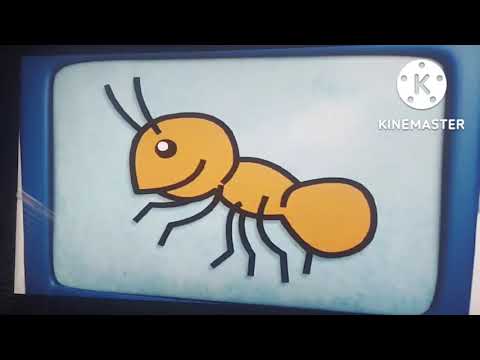 THE WORDIES baby first episode 9 part 2 - YouTube