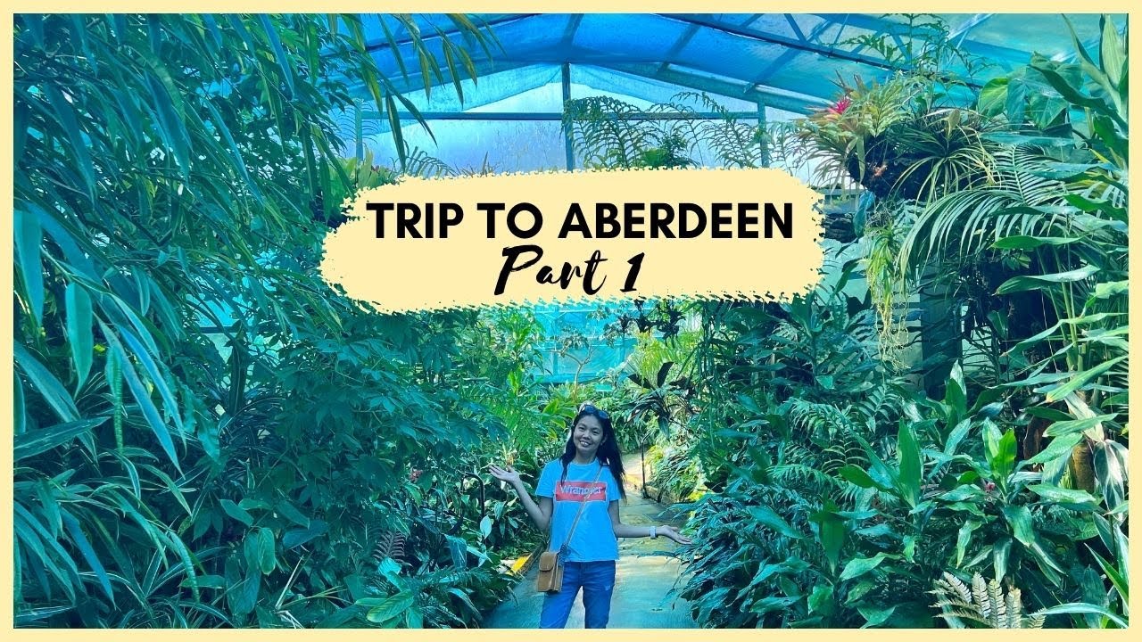 Duthie Park Aberdeen - The Winter Gardens Tour l Myra Murison - YouTube