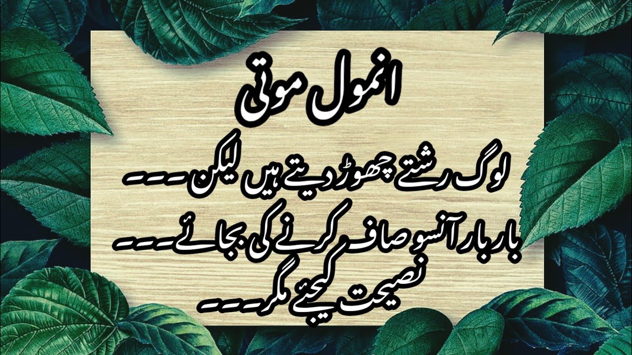 Best Anmol Moti Quotes | quotes in urdu | quotes | Mirha Say's ️ - YouTube