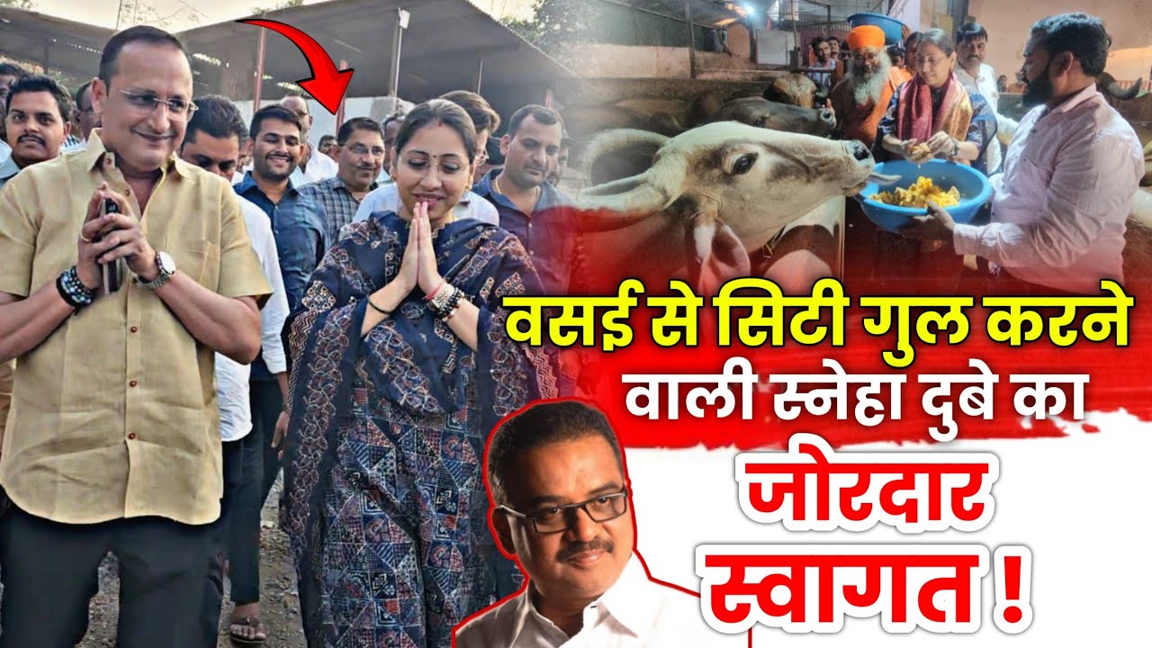 Vasai MLA Sneha Dubey जब पहुंची गौशाला में | Vasai News | Sneha Dubey ...