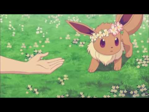 ┇eevee is so alone ┇ - YouTube