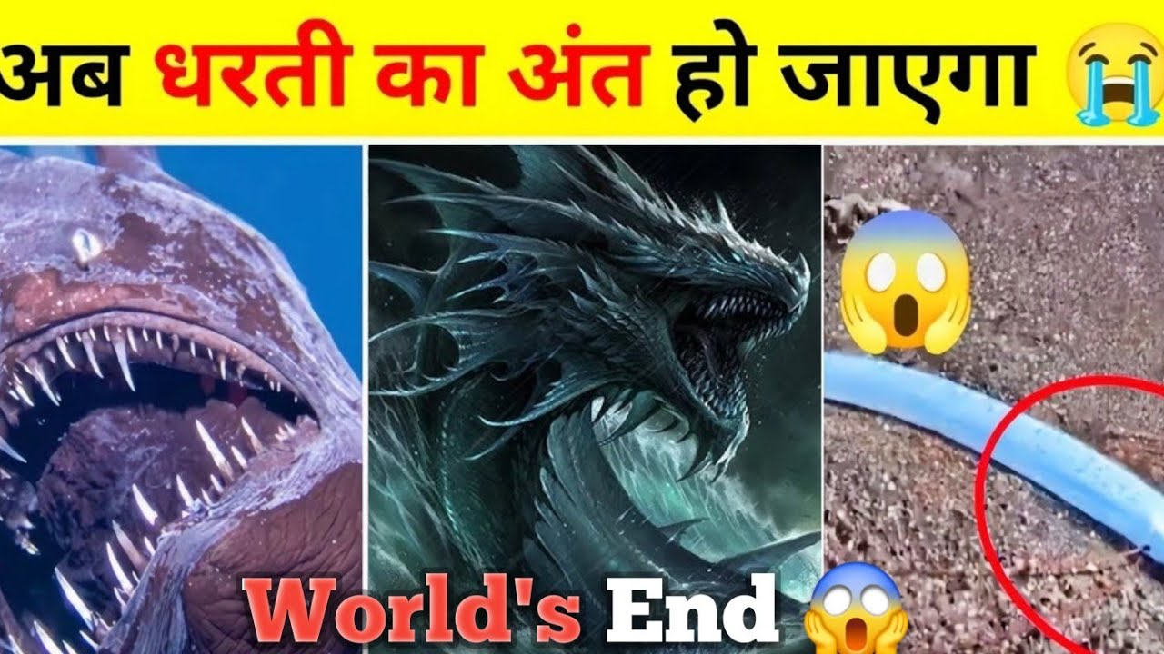 Doomsday Fish : Oarfish | Ocean mysteries | Sea monsters | Study ...