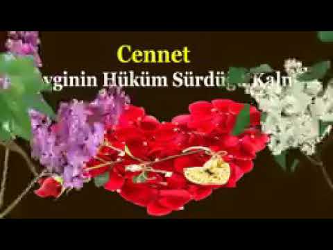 Cox gozel statuslar .vatsap ucun(1)