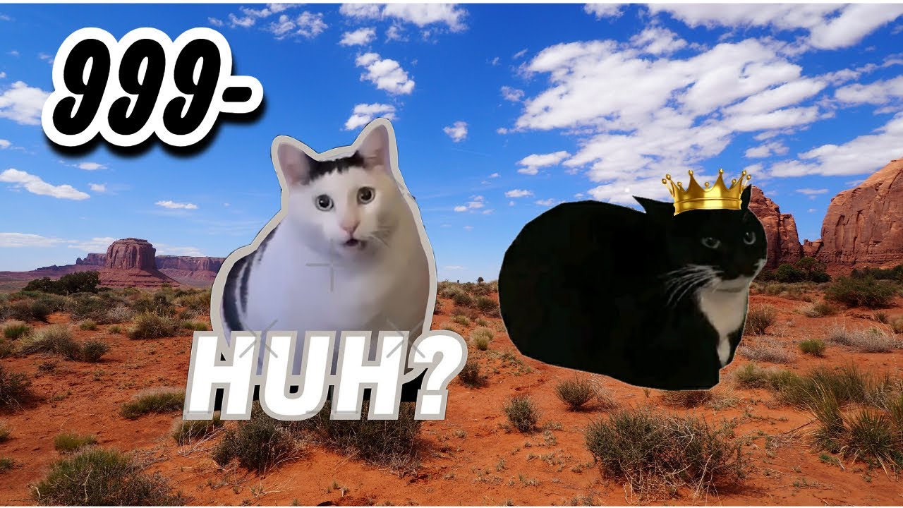 Huh Cat Meme Huh! Huh! (Speed 999x) - YouTube