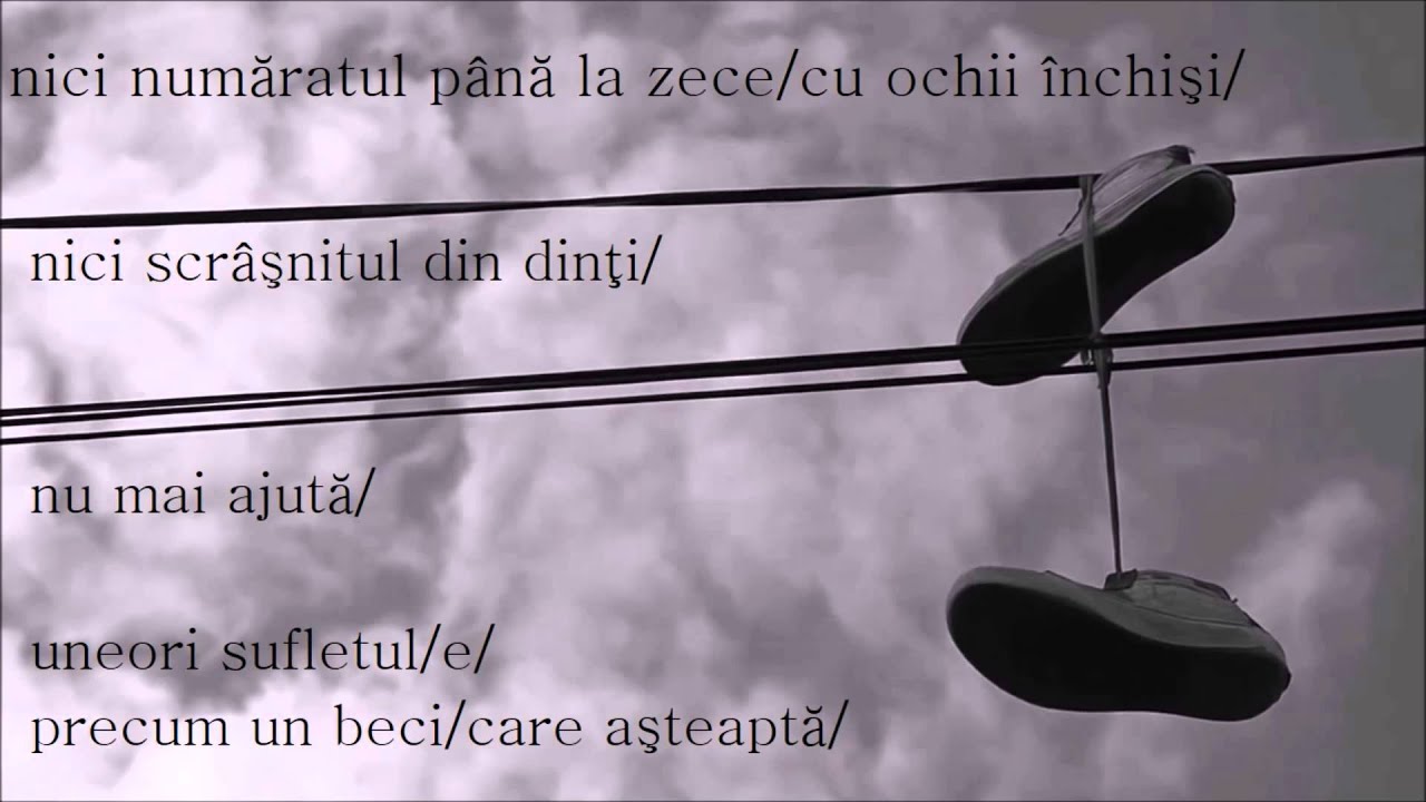 Sase de inima neagra - YouTube