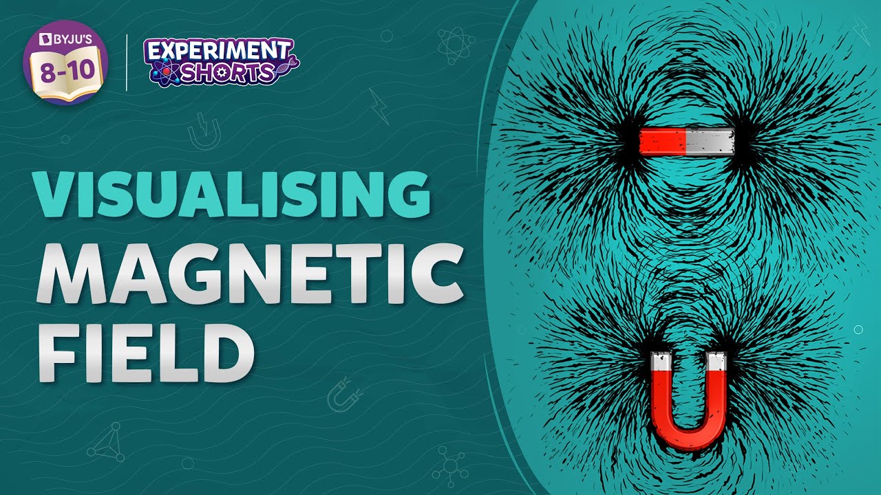 Visualizing Magnetic Field Lines Around a Bar Magnet & Horseshoe Magnet ...