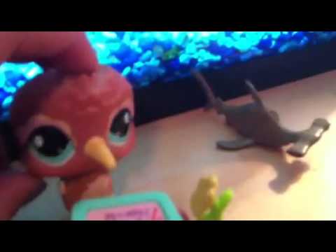 LPS UPDATE VIDEO IMPORTANT - YouTube