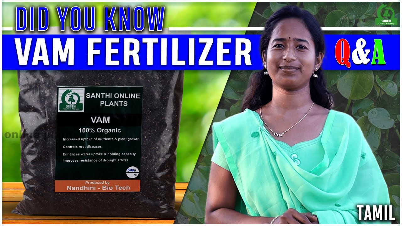 Did You Know About VAM Fertilizer? | Plant Care | Santhi Online Plants ...