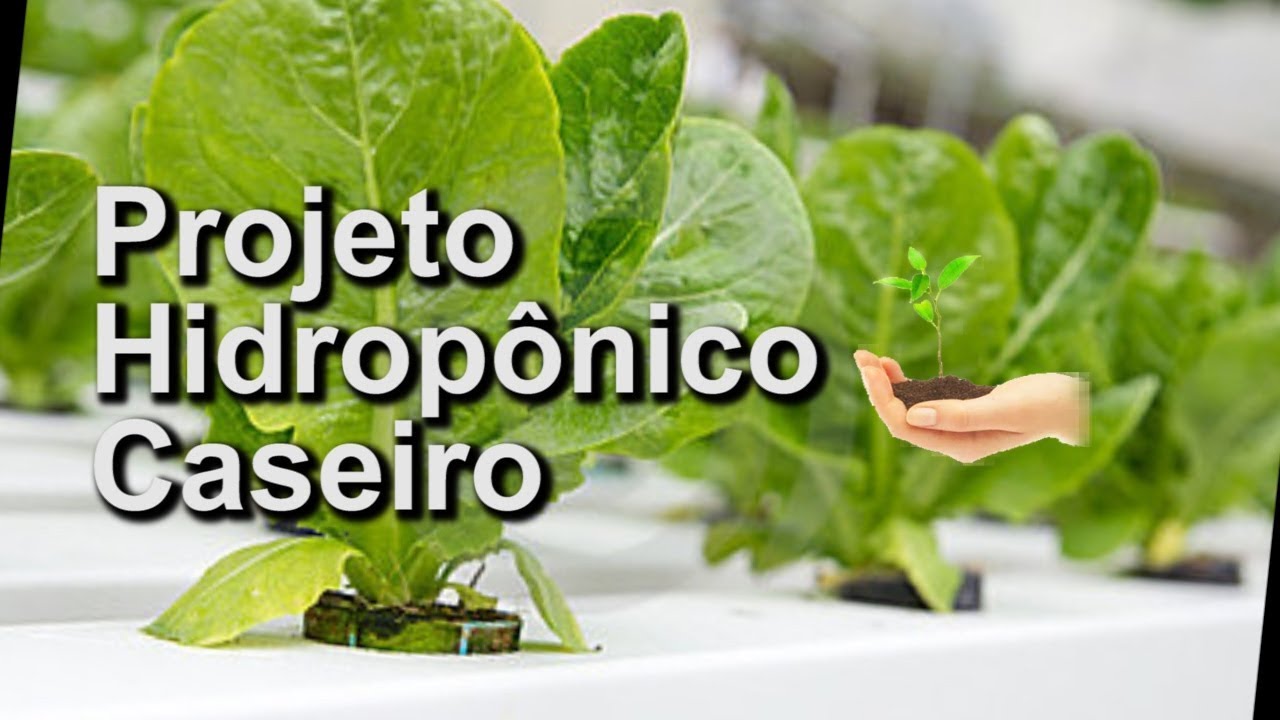 COMO MONTAR UM SISTEMA HIDROPÔNICO - YouTube