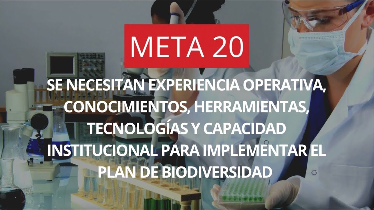Meta 20: Experiencia operativa, conocimientos y capacidad institucional ...
