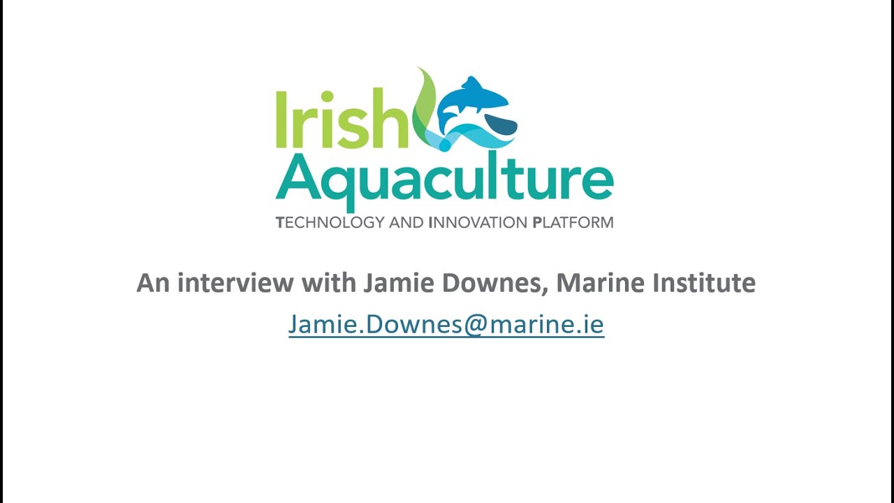 IATiP: Interview with Jamie Downes, Marine Institute - YouTube