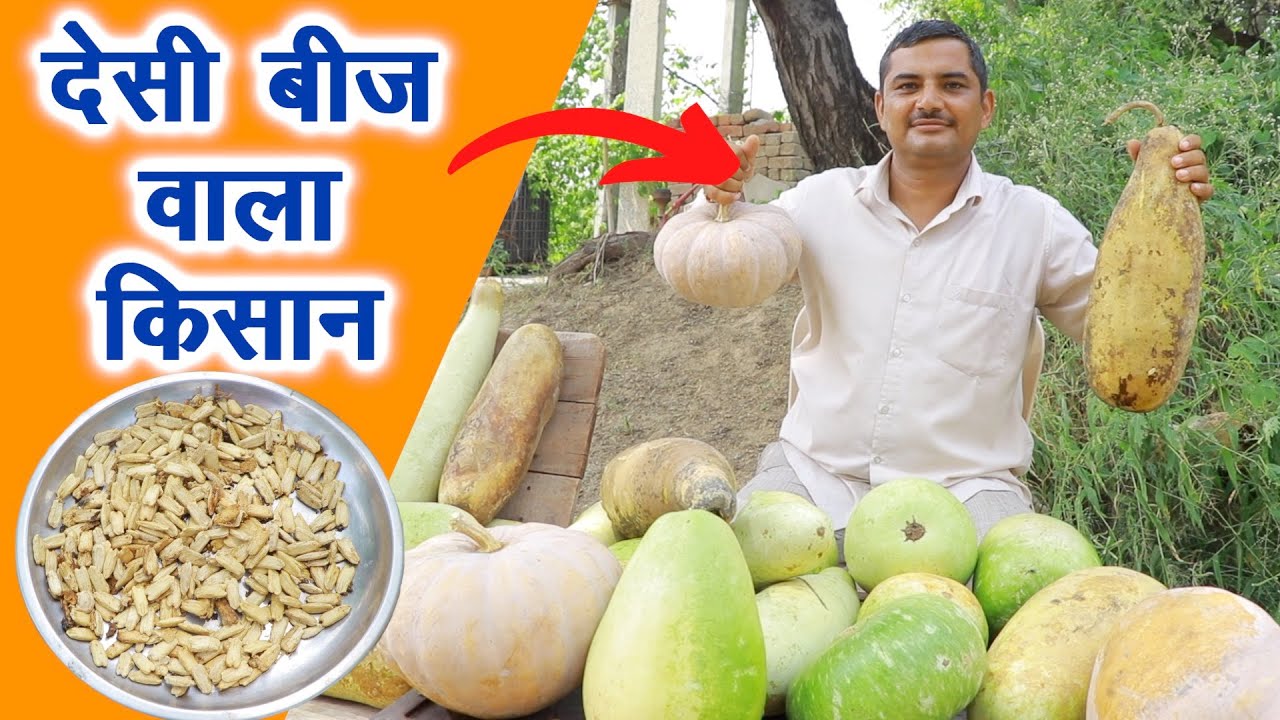 देसी बीज वाला किसान Desi Seeds देश के हर कोने में पहुंचाता है ...