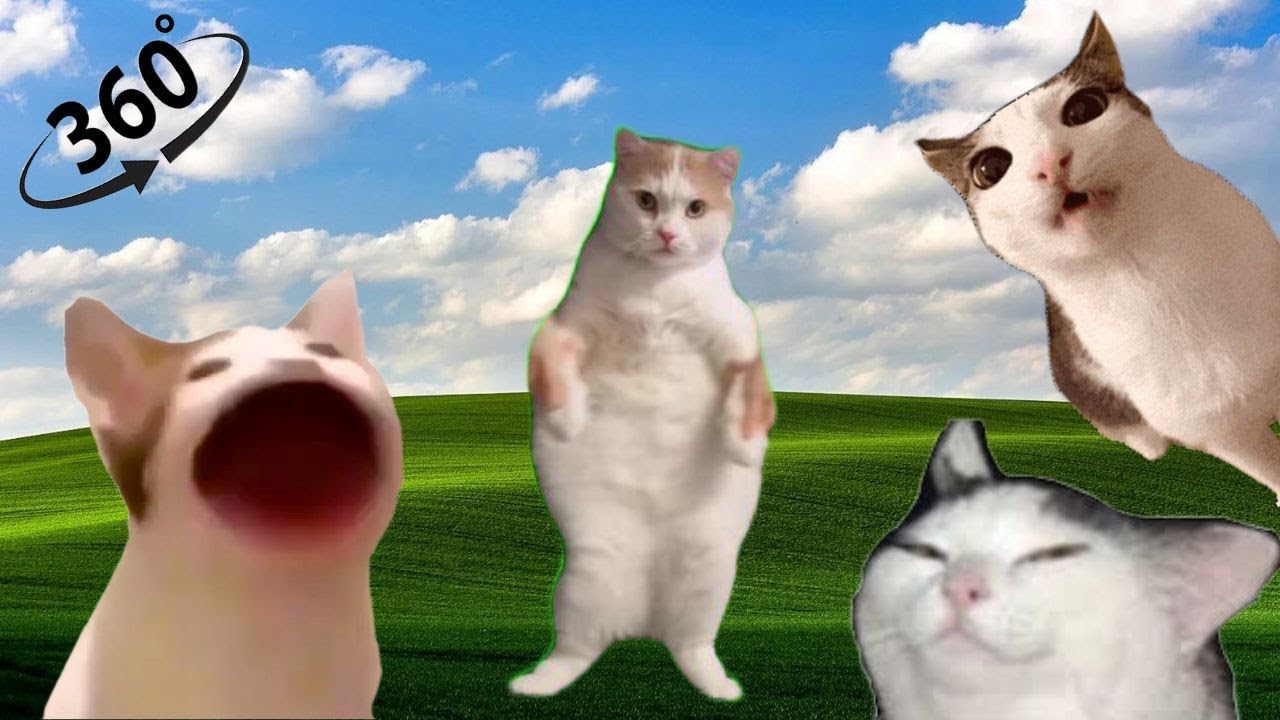 🎃360 VR Cat Memes - YouTube