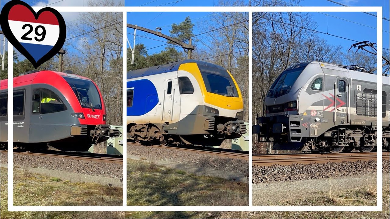 A Bunch of Trains in the Morning | Trains in The Netherlands [29] - YouTube