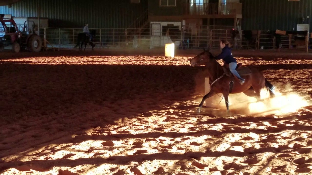 Frenchie 12/30 - YouTube