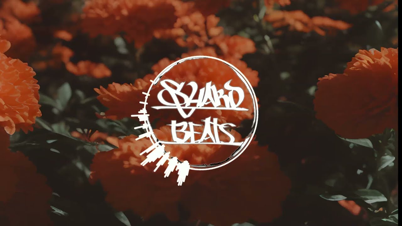 [FREE] GRACE | Chill Boombap | Cat Lira Type Beat - YouTube