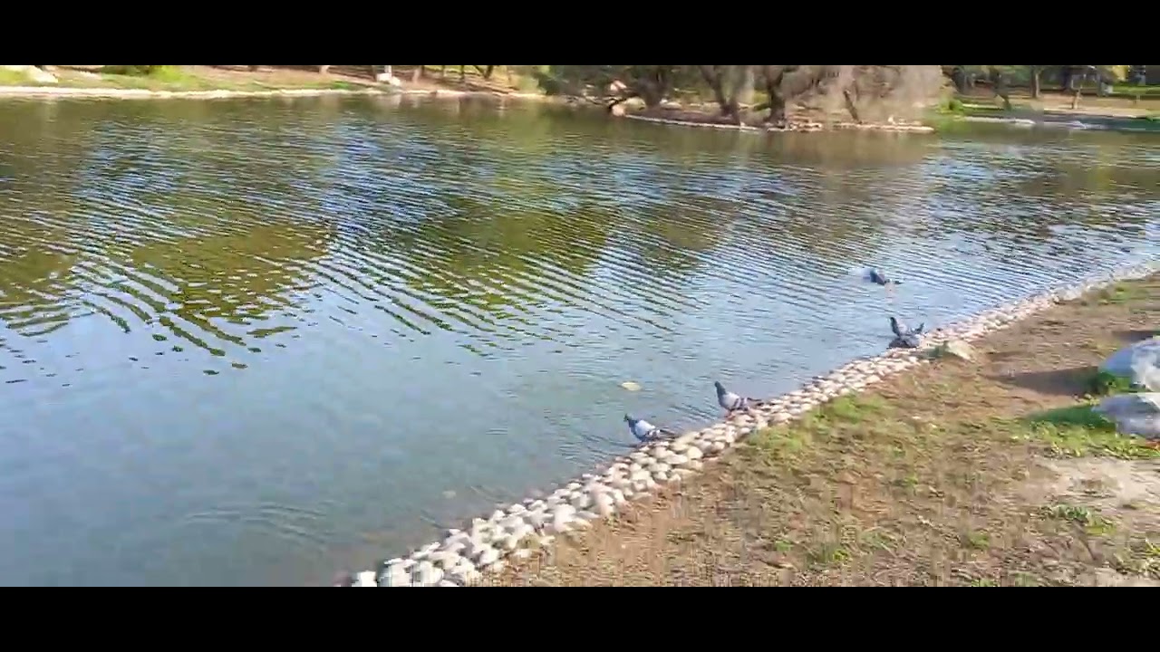 Raj Ghat Lake view - YouTube
