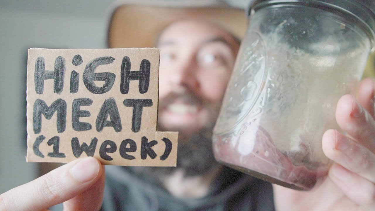 HIGH MEAT / week one of fermented raw primal bison - YouTube