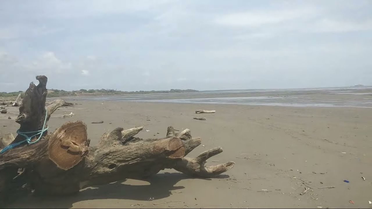 LIVE El Puerto, La mer au panama Playa El Rompio - YouTube