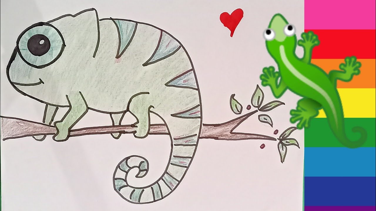 How to Draw a Chameleon easy | draw Girgit - YouTube