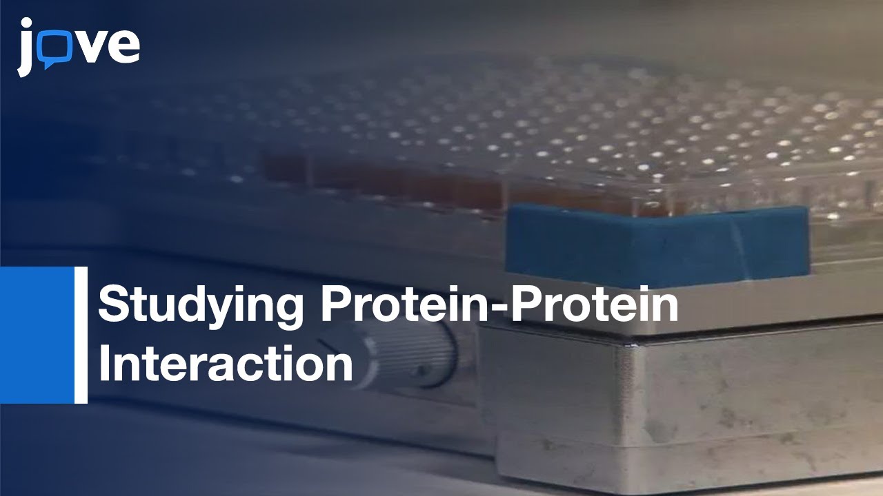 Liquid Phase Affinity Capture Assay By Magnetic Beads:Poliovirus ...