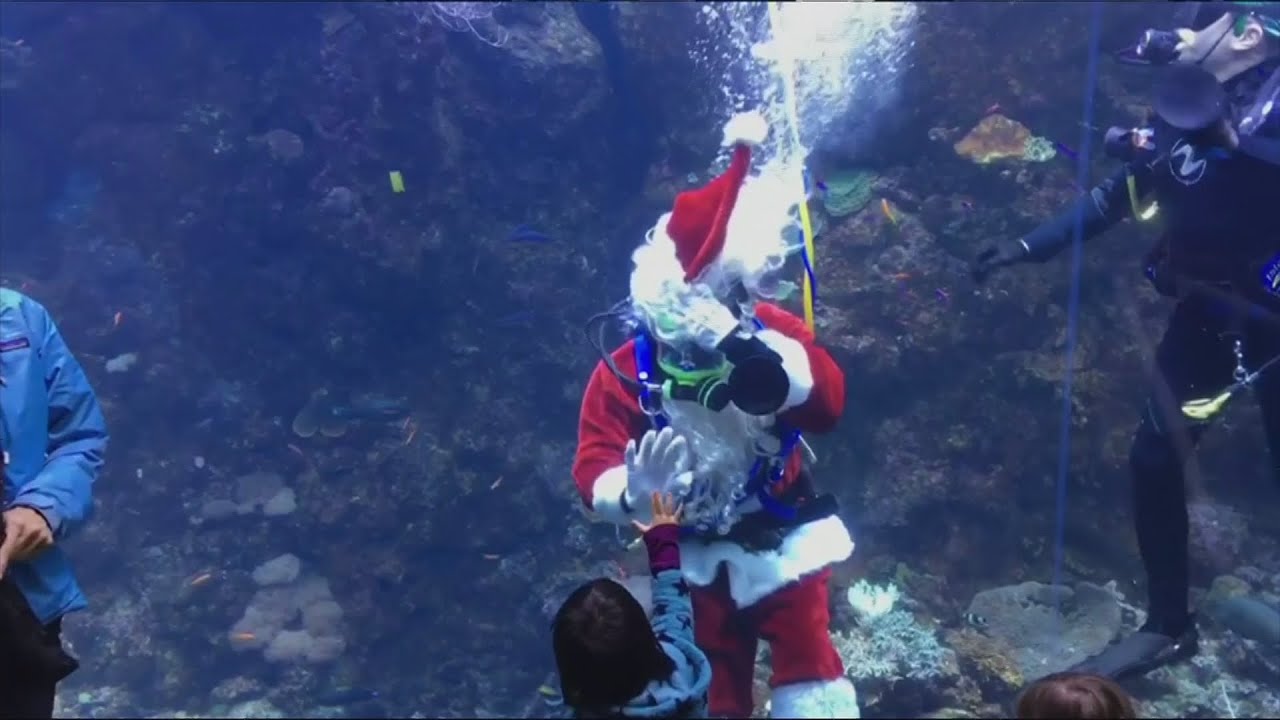 Scuba Santa goes diving in California - YouTube
