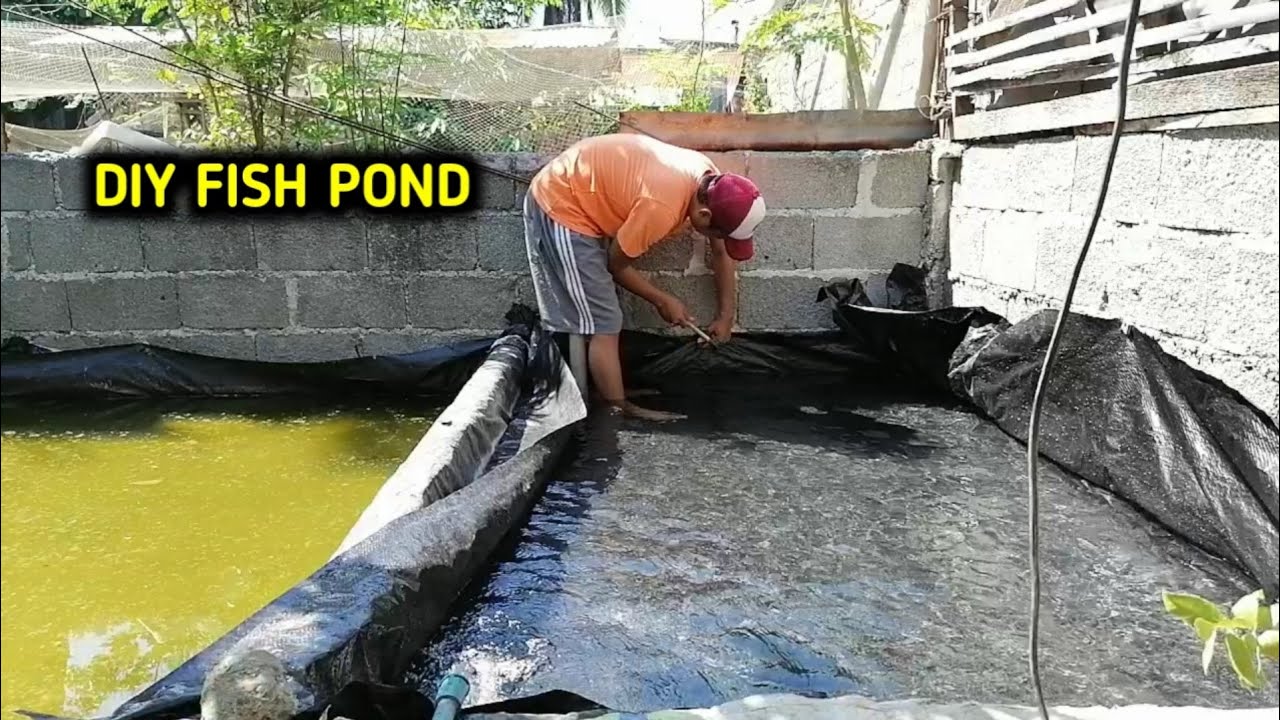 How to make DIY fish pond | goldfish pond | Trapond for fish - YouTube